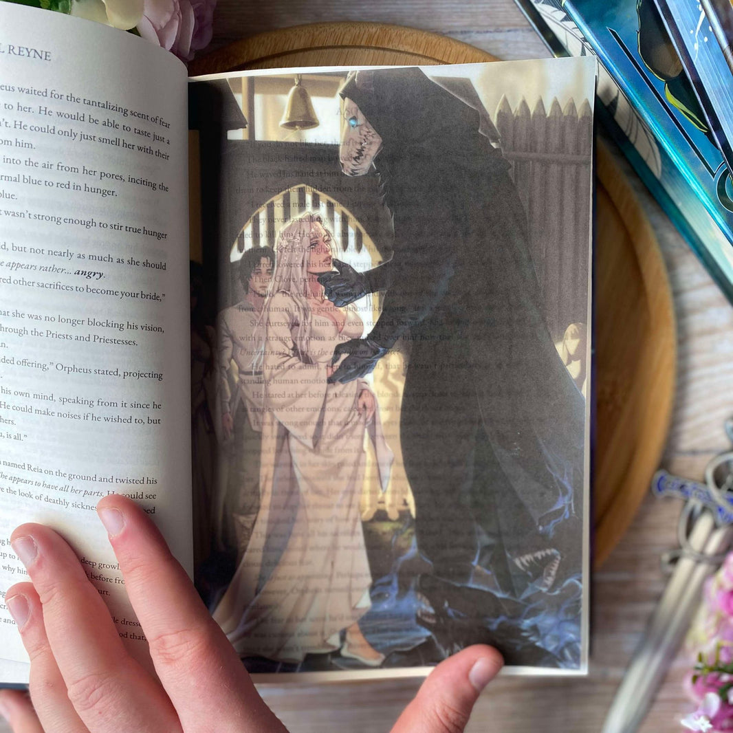 Duskwalker Brides - A Soul to Keep Collection – Nat's Book Nook Pty Ltd
